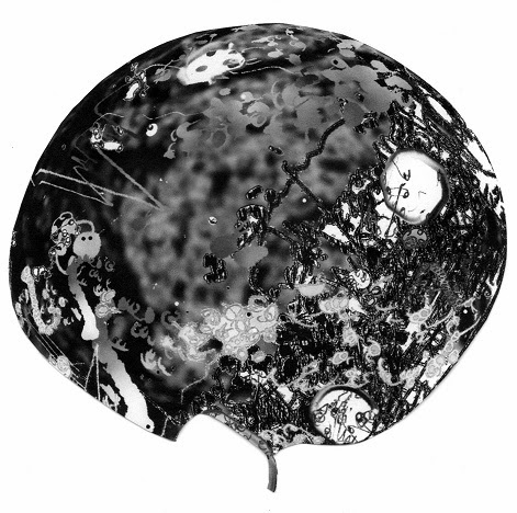 Murder Minutes: Award Shortlist - Art Jazzed Up