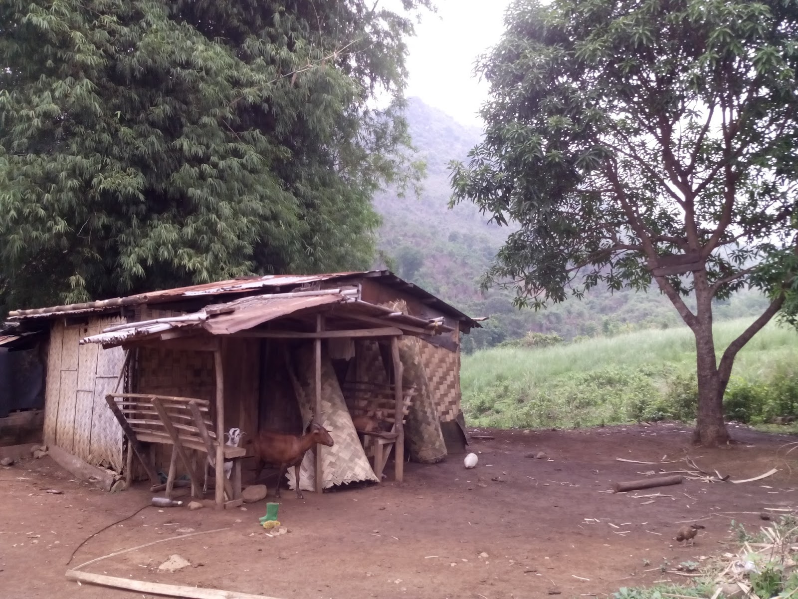 Misyonerong Pinay: Dumagat Tribe of Cuyambay Tanay Rizal