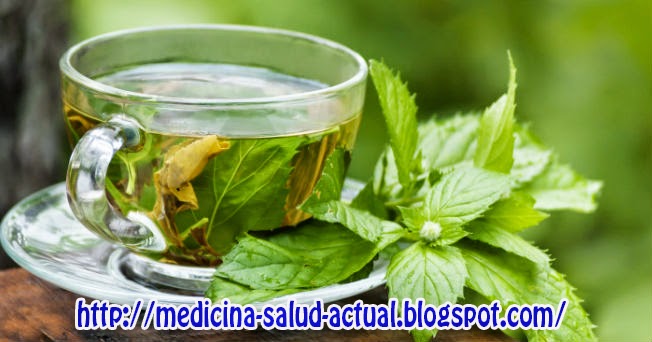 Medicinas Naturales: 1 :: Medical Tech