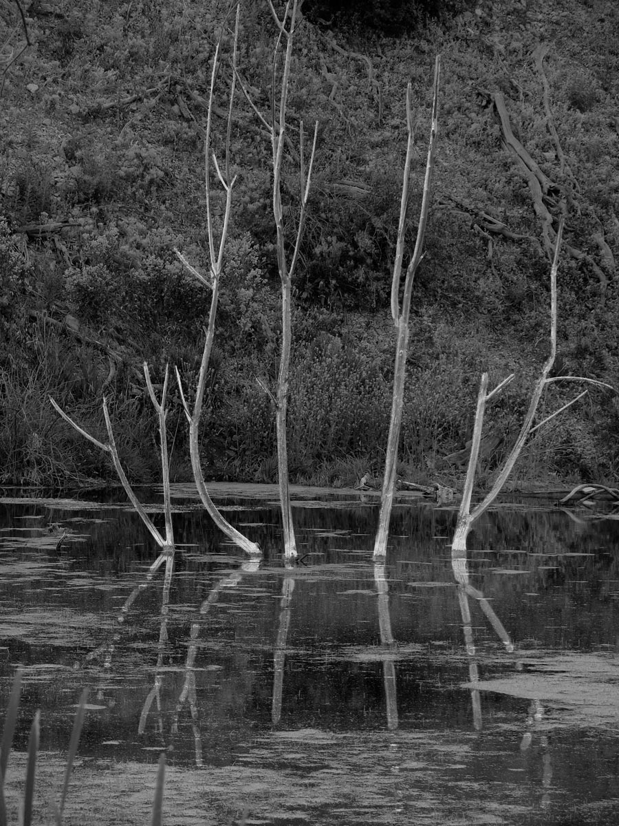 Falling in Love with Utah: Utah's Newest Ghost Town - Thistle