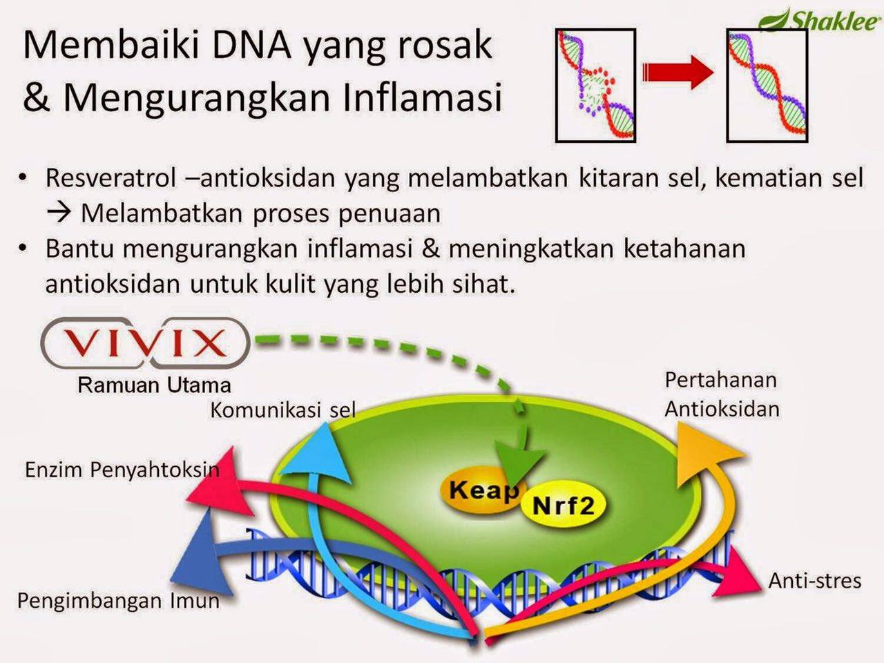 RADIKAL BEBAS(OKSIDAN) DAN APA ANTIOKSIDAN TERBAIK ~ Jihad Sihat