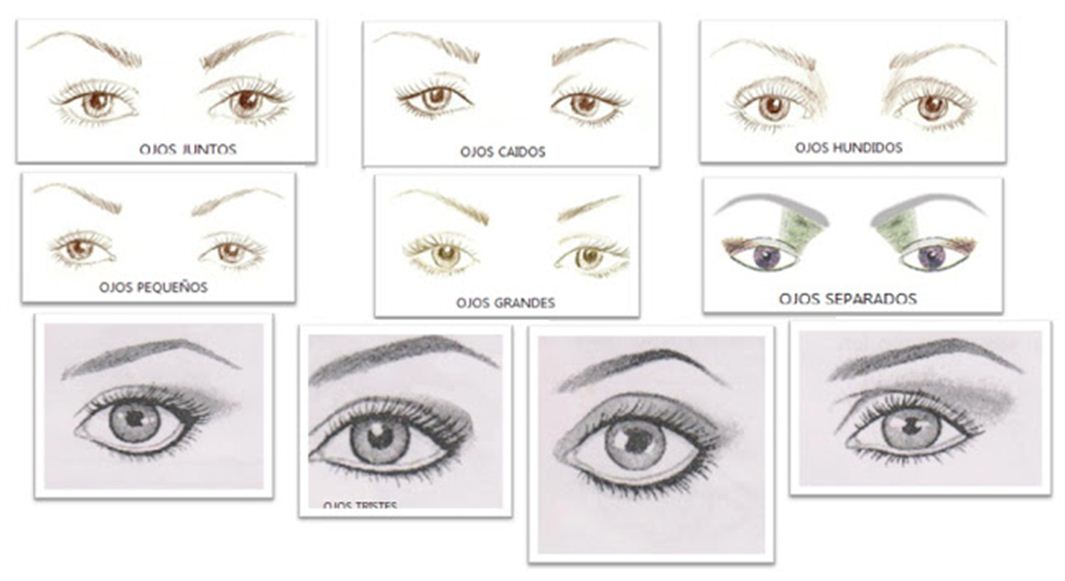 Cosmeticos D.F.: Tipos de Ojos