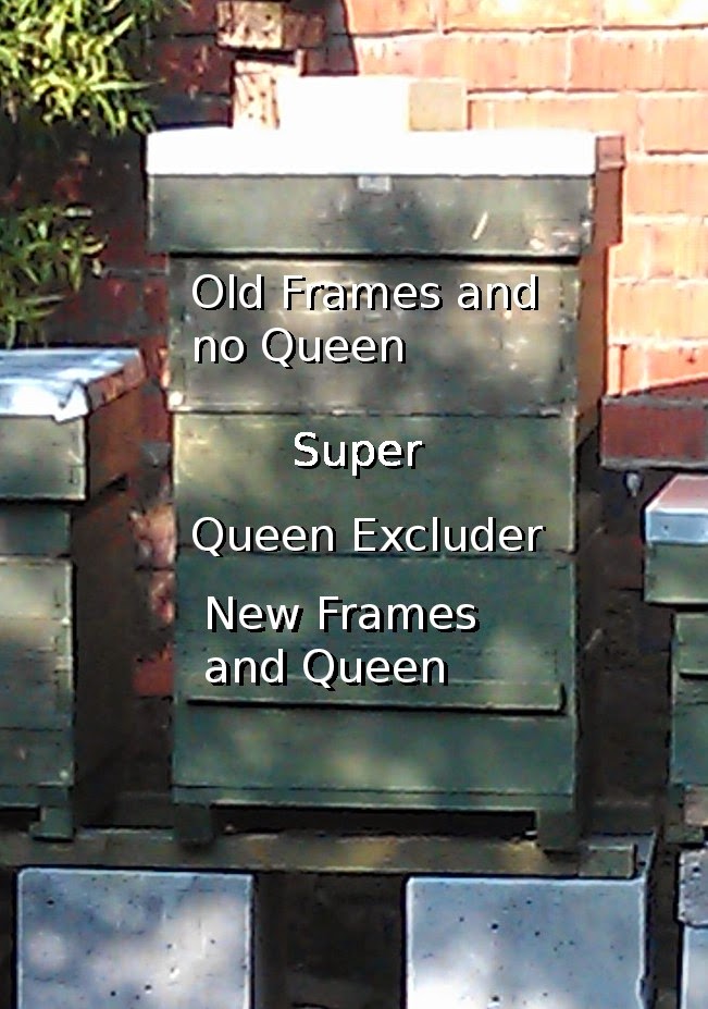 The Hivemind and Me: Demaree Method of Swarm Control