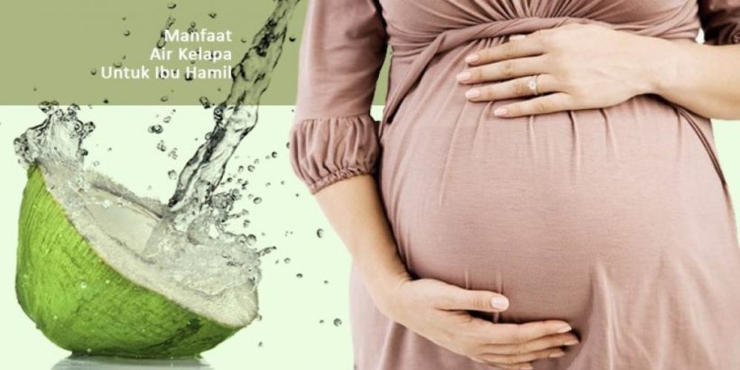 Ners Aceh: 5 Manfaat Air Kelapa Bagi Ibu Hamil Muda