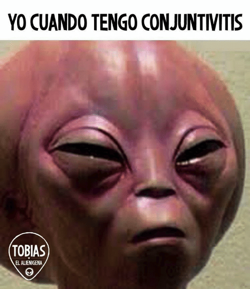 Las porqueriyas de Don Yucateco: 8 memes de conjuntivitis que expresan ...