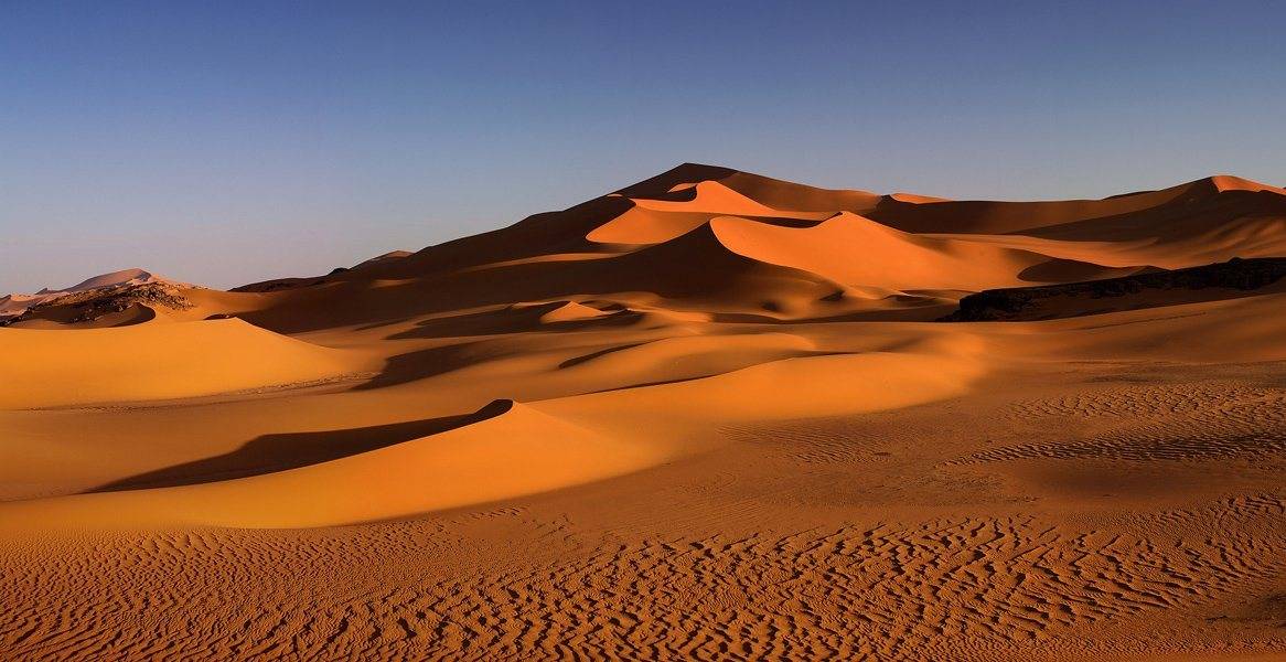 Mundo Animal: Desierto del Sahara