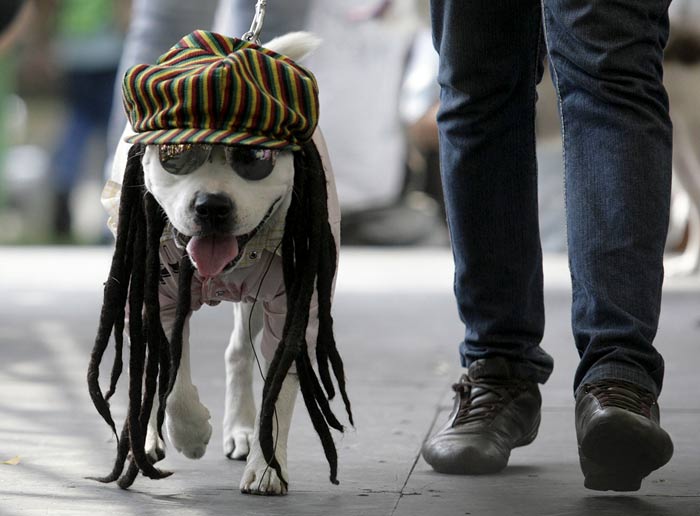 Cultura Rastafari: agosto 2012