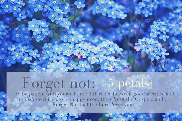 Someone In Mind: Forget Me Not, by Elder Dieter F. Uchtdorf