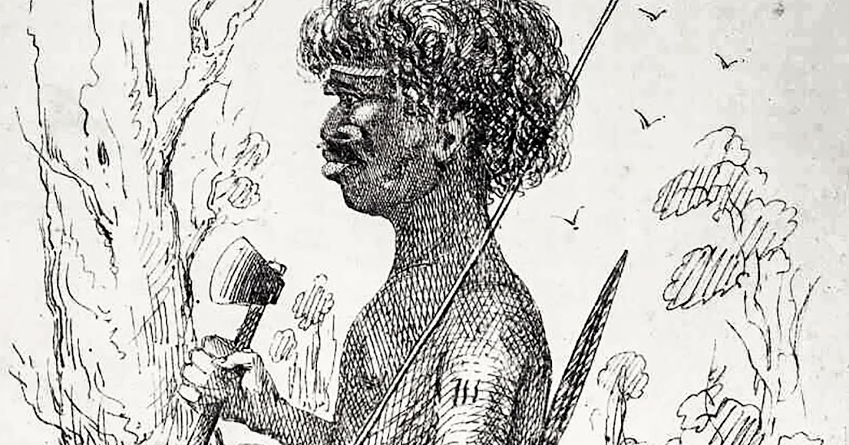 Jamie Derkenne: The Gringai