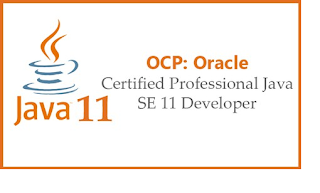 Top 10 OCAJP and OCPJP Exam Simulators and Practice Test for Java ...