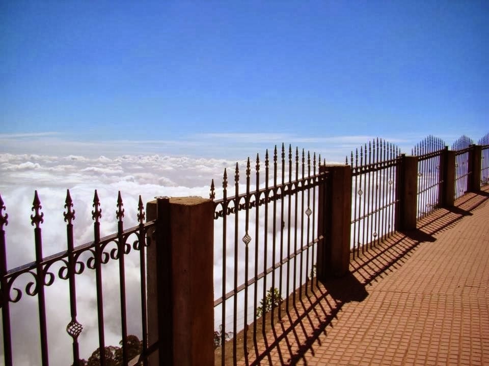 Photographers Share The Most Amazing Shot They Ever Captured - 2daynews ...