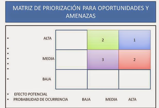 Plan de Reclutamiento y Selección del IAMMI Estado Falcon : Matriz de ...