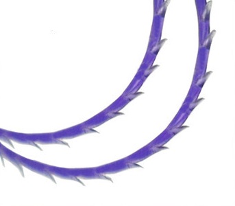 The Aesthetic Doctor's Blog