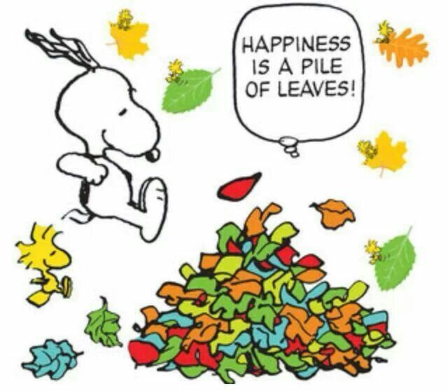 Mrs. Countryman's Corner