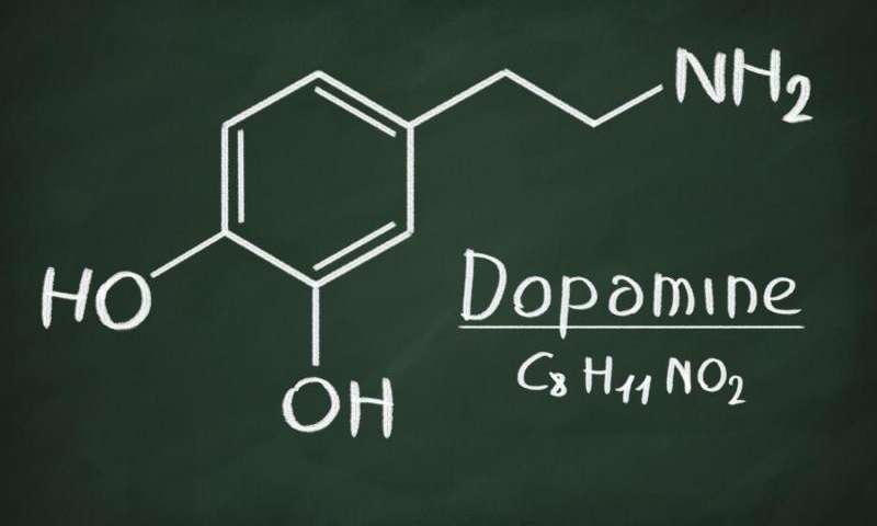 Dopamine Hit