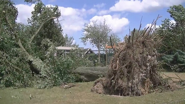 Fieggentrio: Valwind