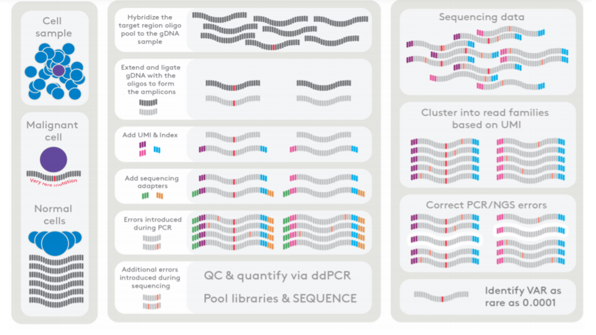Reasons to Consider a UMI-based Approach in Next-Generation Sequencing / Motivi per considerare ...