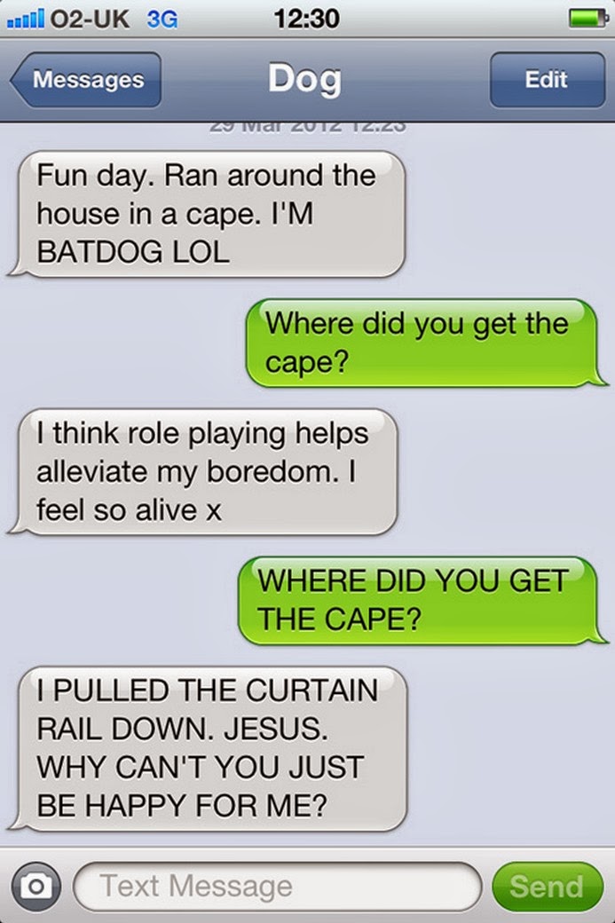 Chuck's Fun Page 2: Meme: Text messaging dog