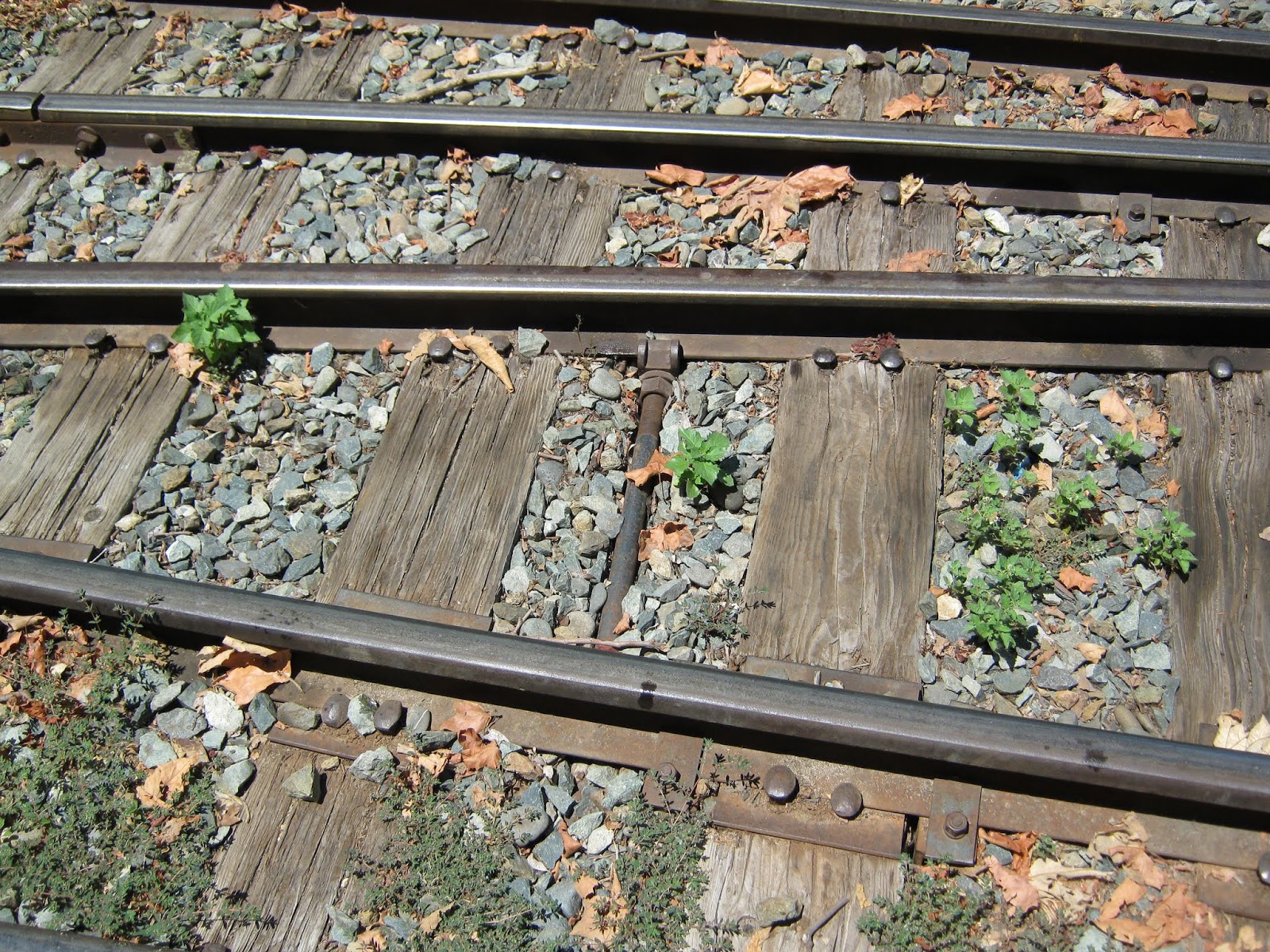 The Model Railroader's Notebook: Three Way Stub Switch or Turnout ...