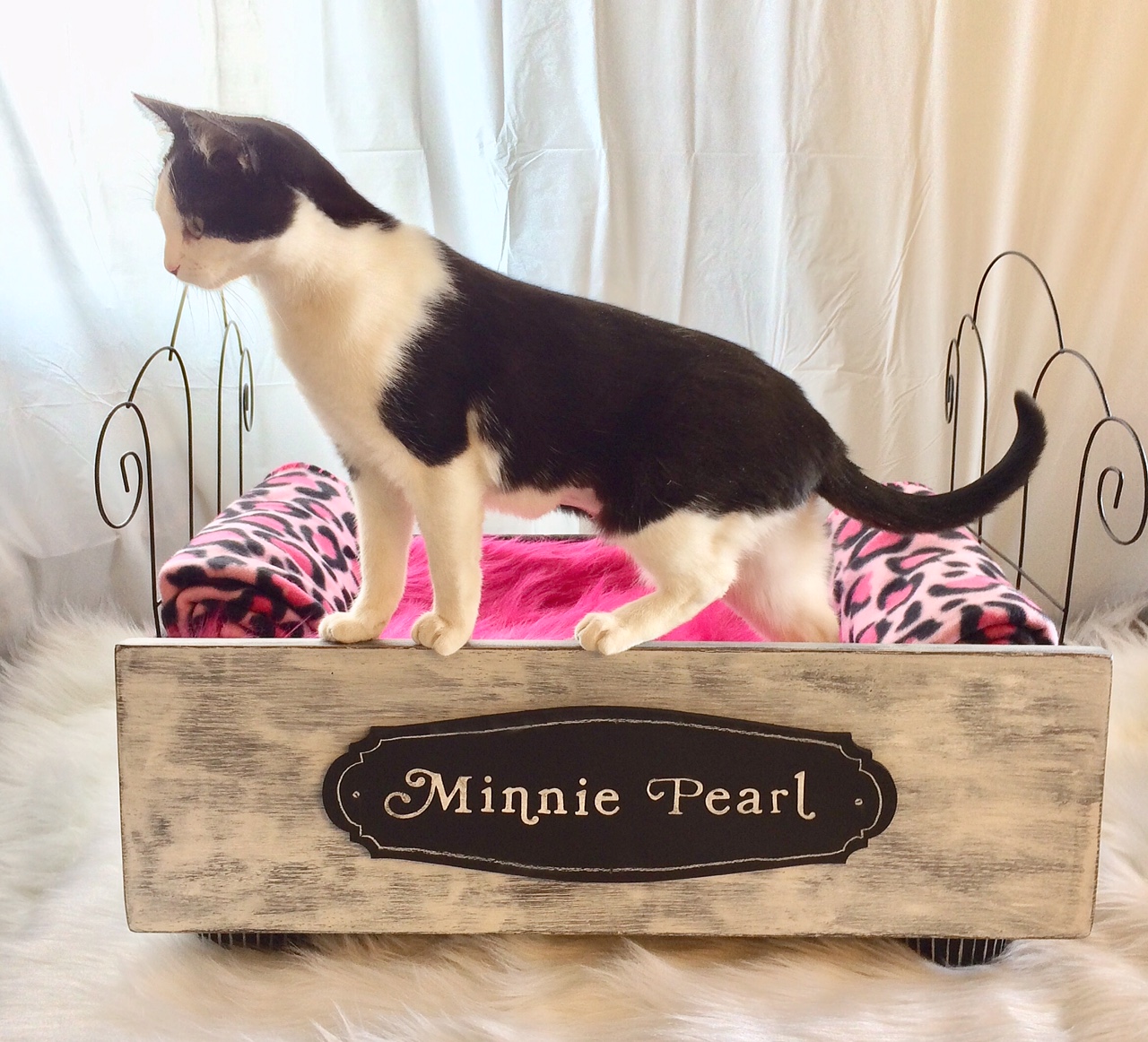 DIY Upcycled Drawer Pet Bed