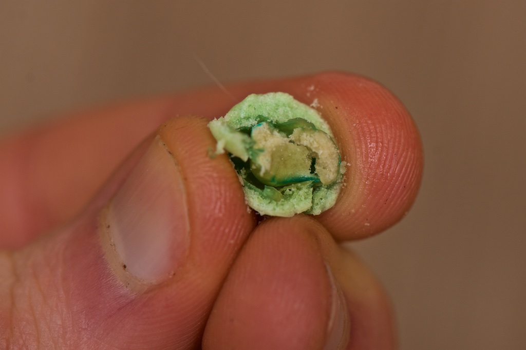 Pois Wasabi (100g) par Tanoshi