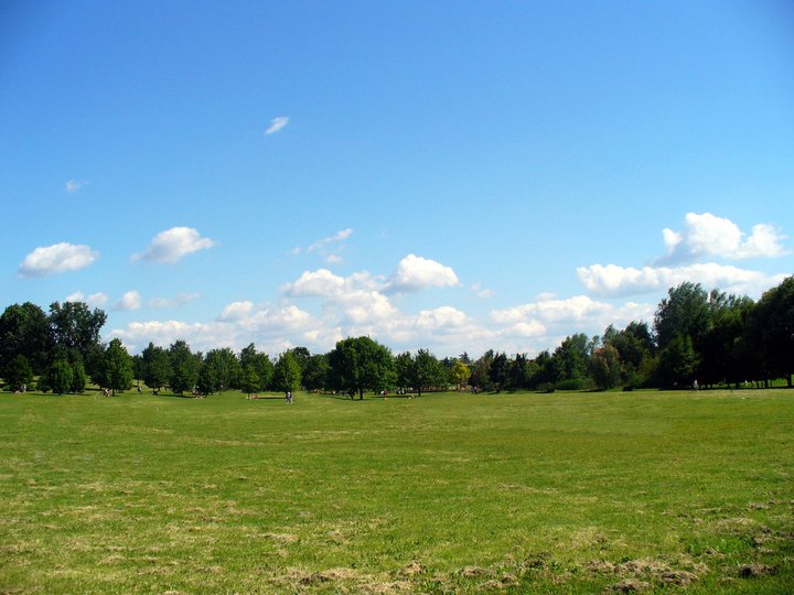 Hình nền sky background hd for 3ds max chất lượng cao, hỗ trợ nhiều độ ...