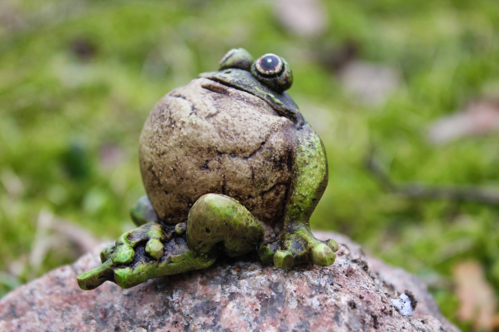 hemma på logen: Grodan Boll...