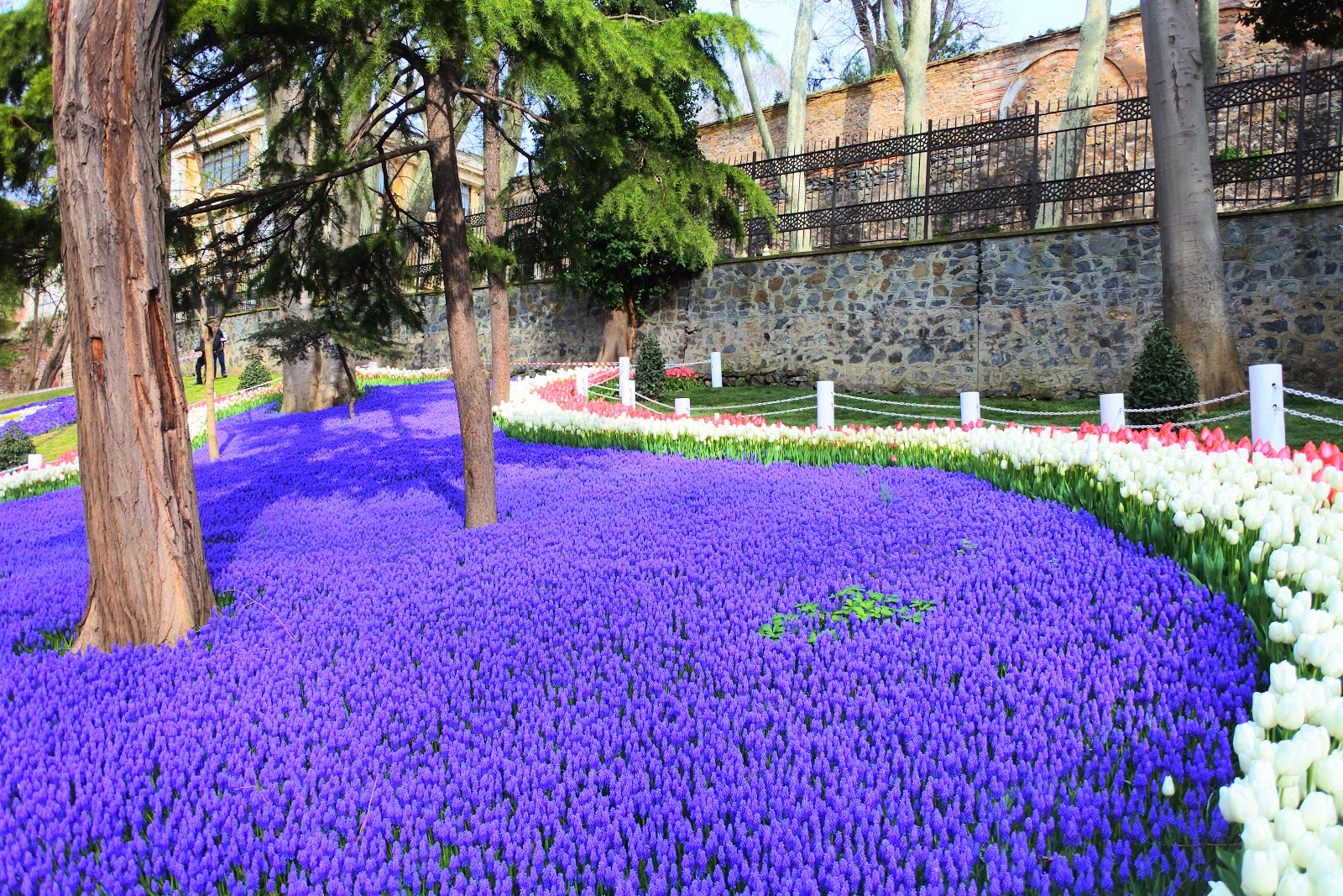Jalan - jalan Turki 2016: Musim bunga di Istanbul ~ Alhamdulilah...di ...