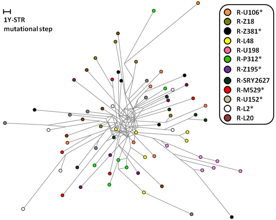 Dienekes’ Anthropology Blog: Recent radiation of R-M269 males in Europe