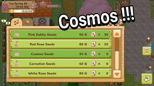 Cara Tercepat Mendapatkan Cosmos di Harvest Moon: Light of Hope - ID ...