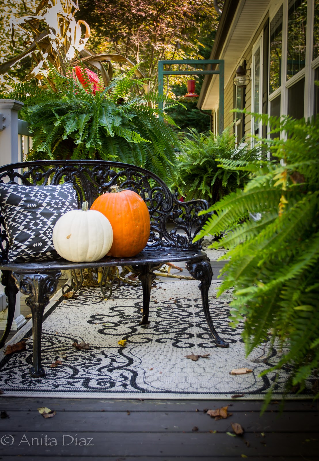 Mountain farmhouse fall steps - Whispering Pines Homestead