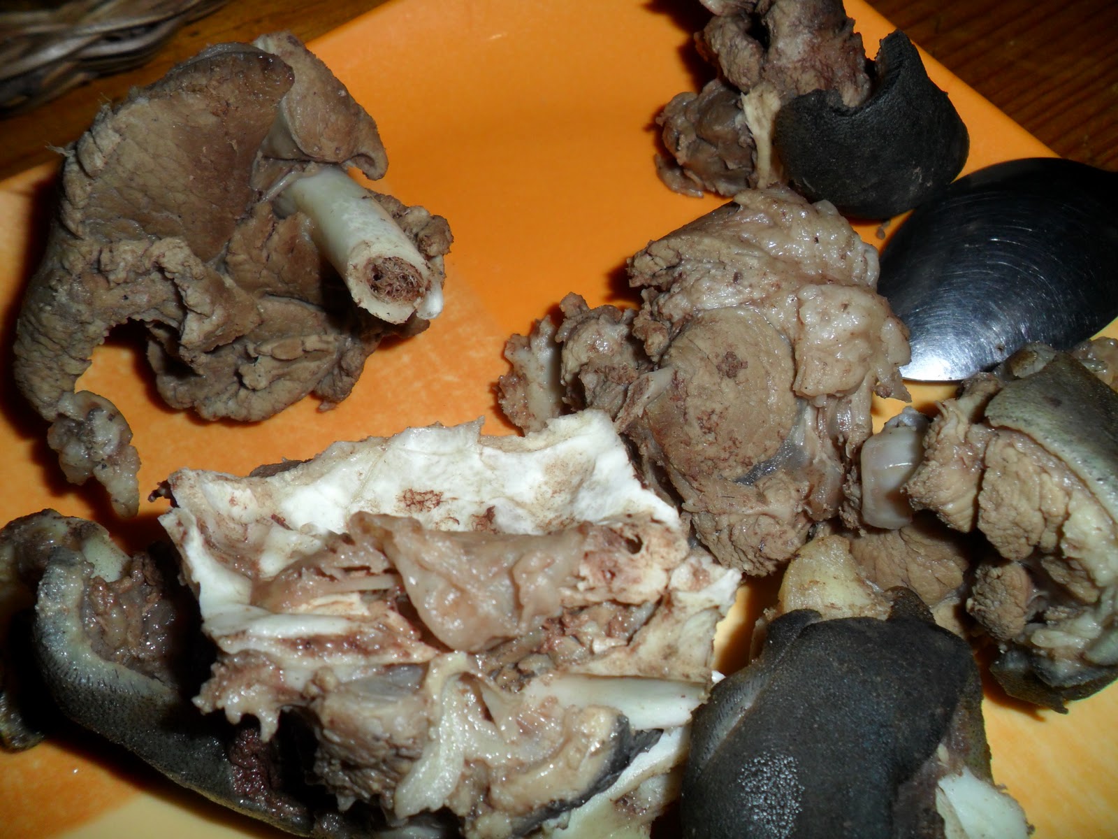 Asocena - Alchetron, The Free Social Encyclopedia