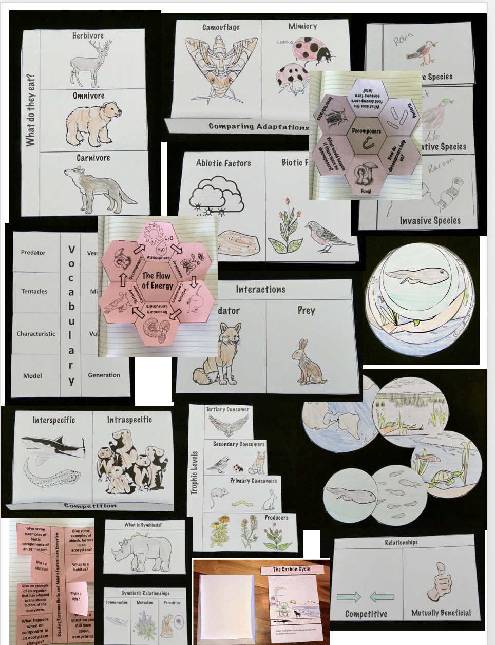 6th Grade Utah SEEd Complete Lessons and Units - Teaching Science with ...