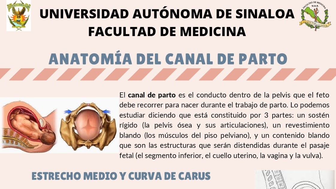 Blog de evidencias de Ginecología y Obstetricia - González Camacho ...