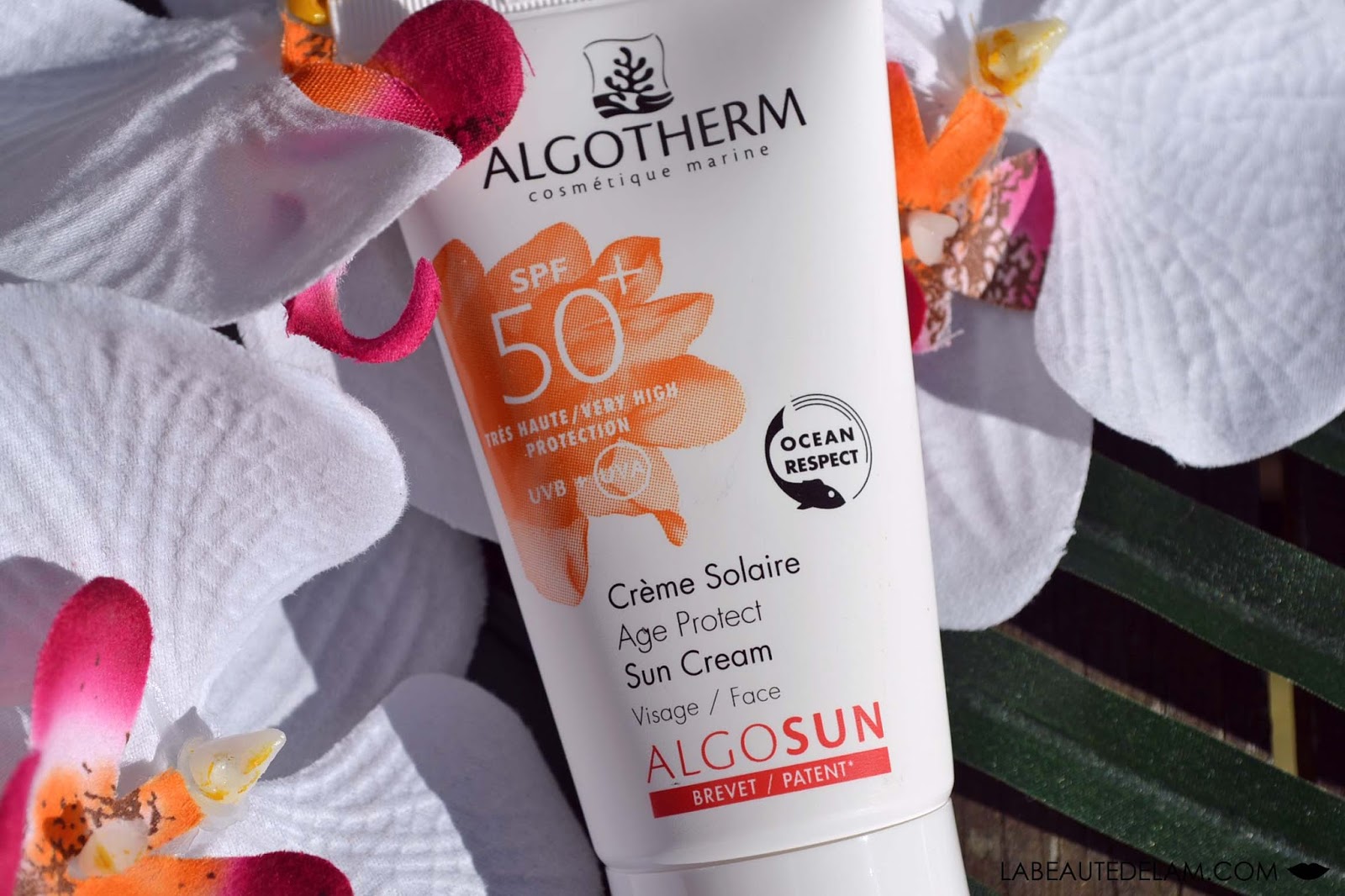 Algotherm : protéger sa peau et l'océan avec AlgoSun ([CLOS] concours ...