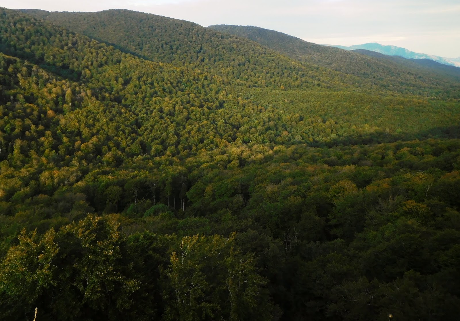 SARABEKO HAITZA desde el VALLE DE SARABE ( URDIAIN ) 159