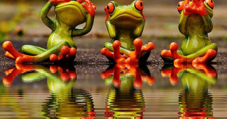 Síndrome de la rana hervida: Ebola en RDC, un año después