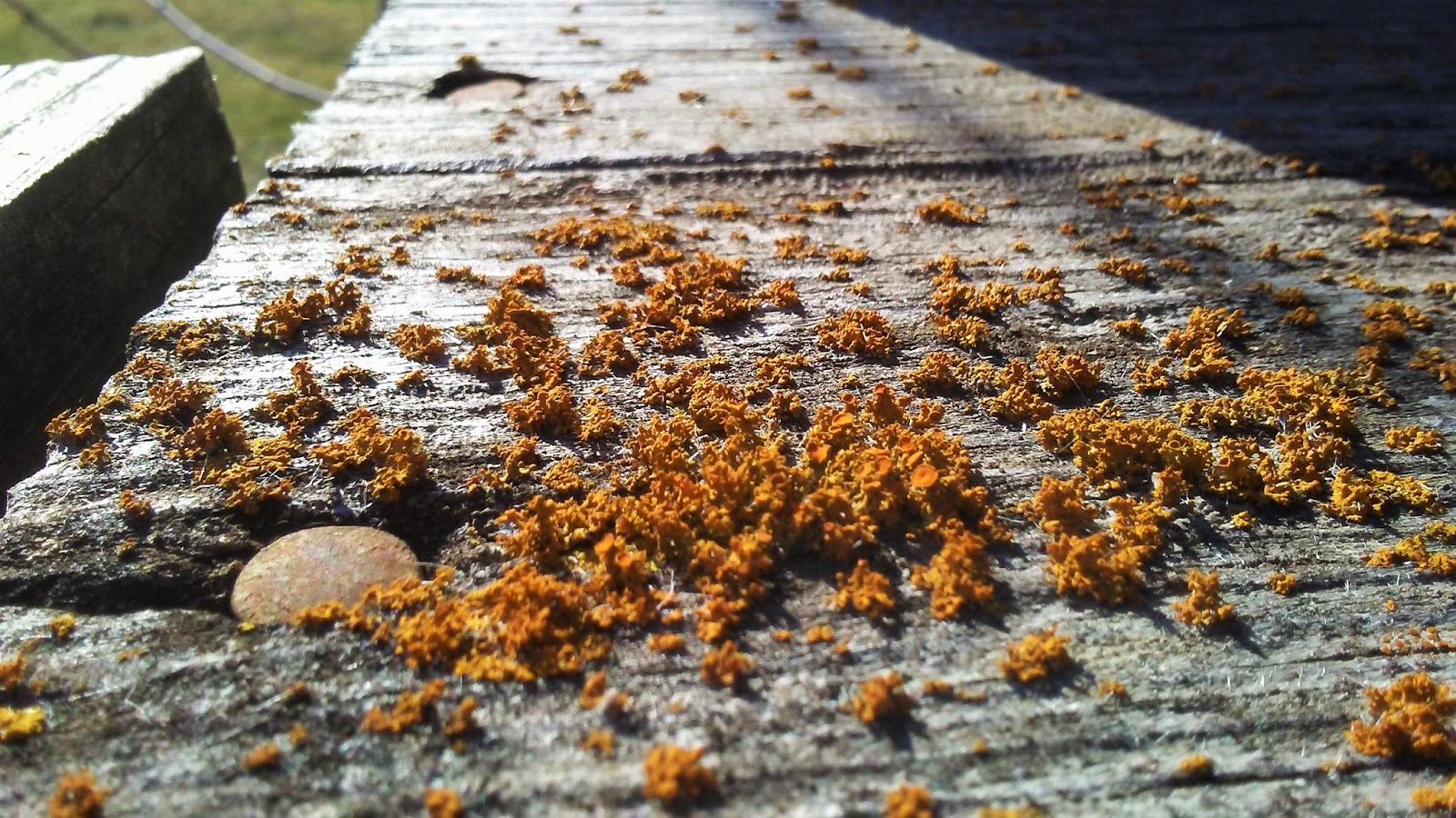 Through the Prism: Pondering and Wondering