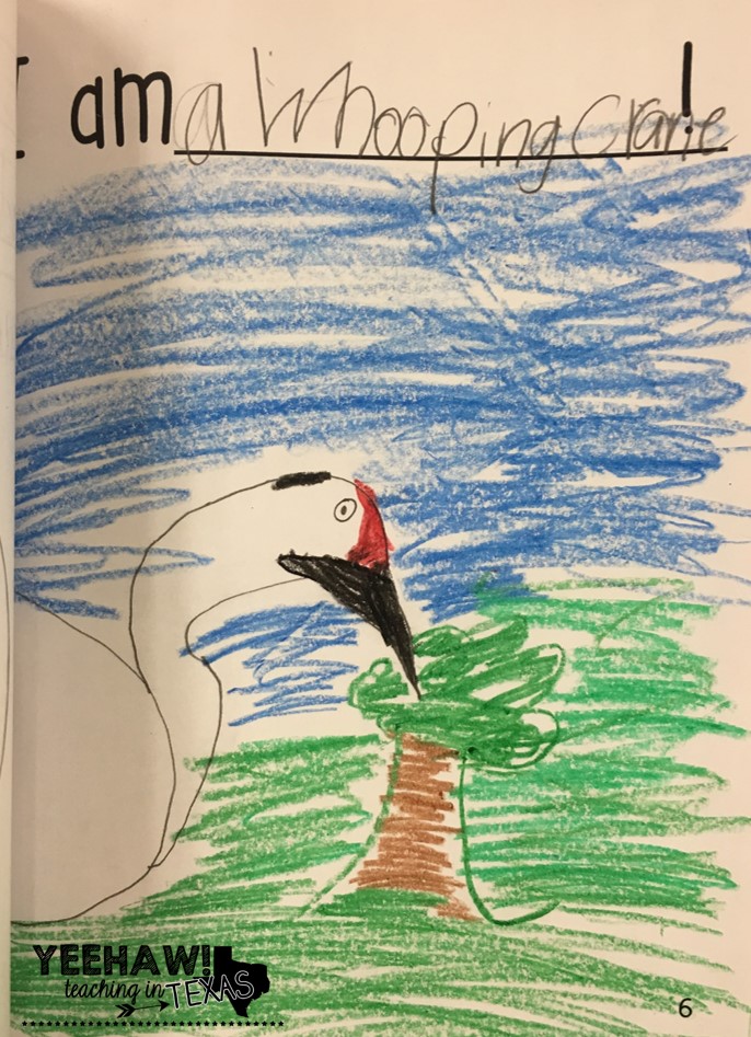 EASY Animal Research Project - Sarah Chesworth