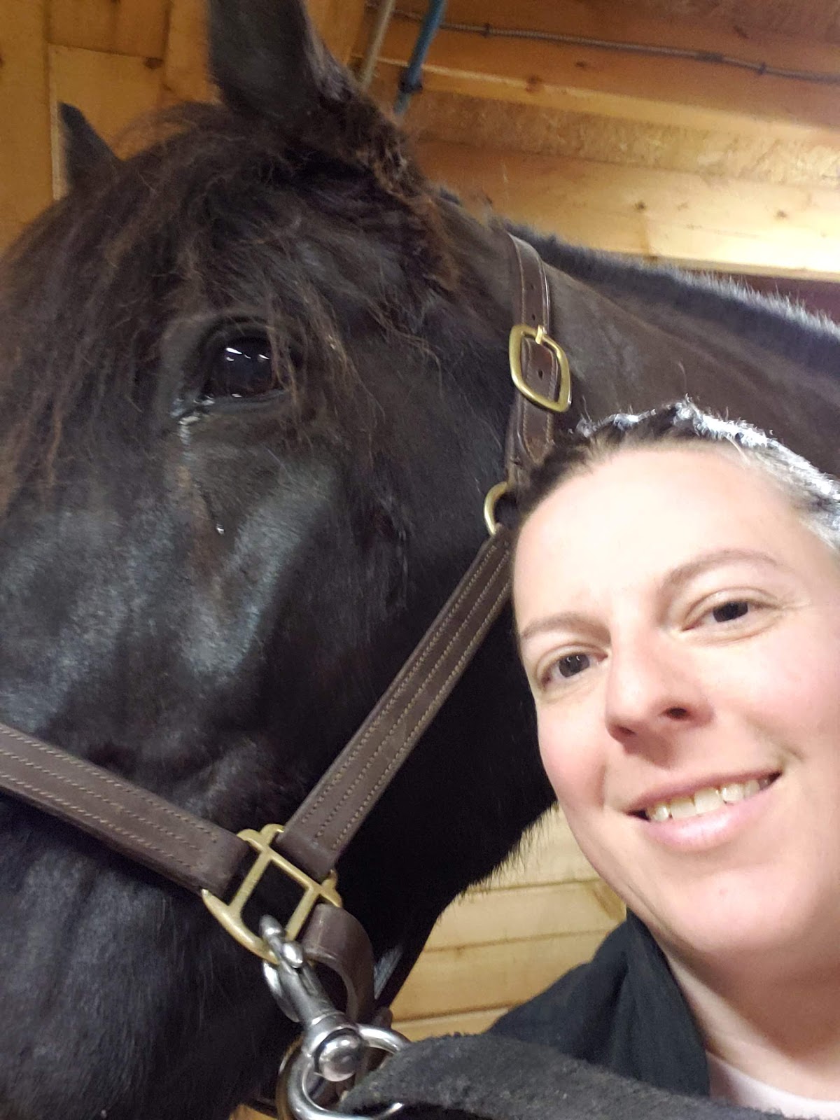 Thoughtful Equestrian: Riding the beast you made