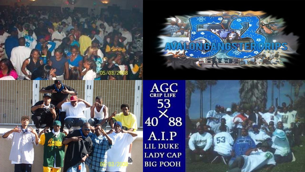 Gang World Blog: Avalon Gangster Crip Gang History (Los Angeles)