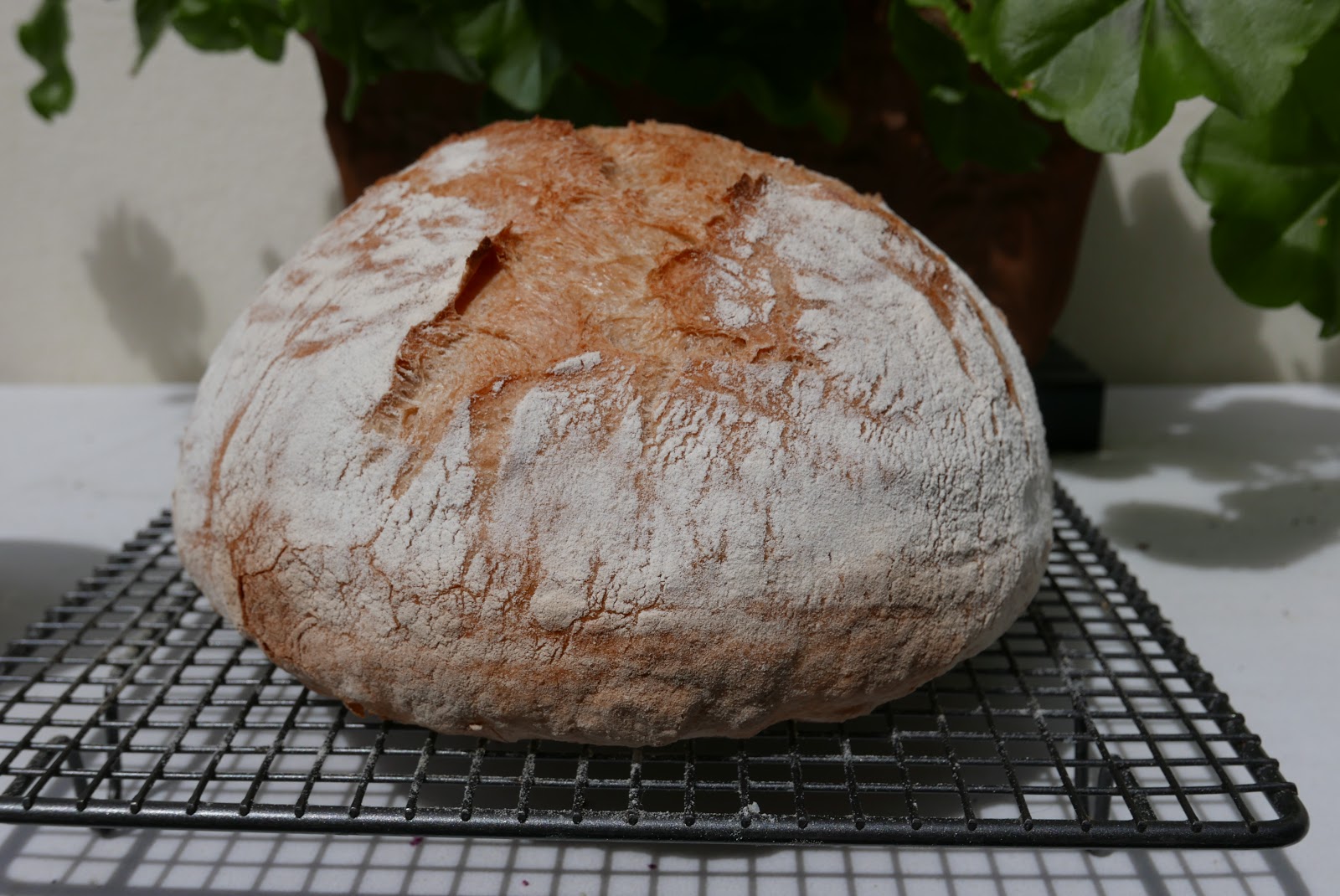 Four seasons.: Artisan style overnight bread.