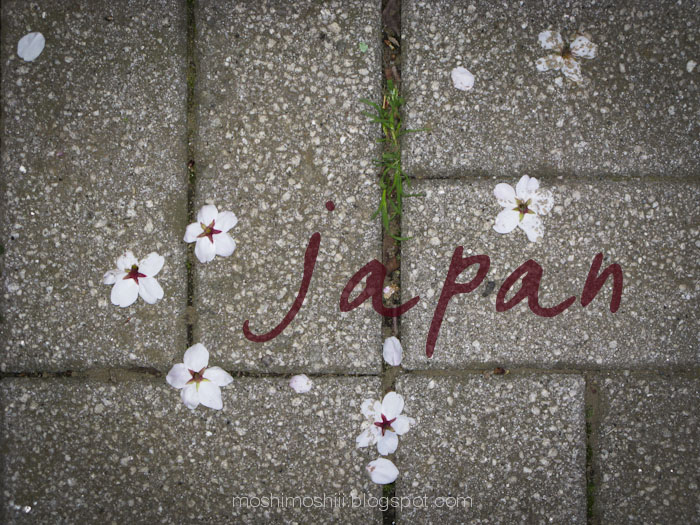 { m o s h i m o s h i i i }