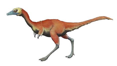 Los animales en la prehistoria: Animales prehistóricos con la letra C