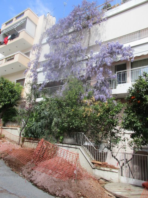 ΓΙΑΝΝΗΣ Δ.ΛΥΡΑΣ: 28-3-2020. Η ΕΡΗΜΗ ΑΘΗΝΑ ΣΤΗΝ ΠΑΝΔΗΜΙΑ ΤΟΥ ΚΟΡΩΝΟΙΟΥ ...