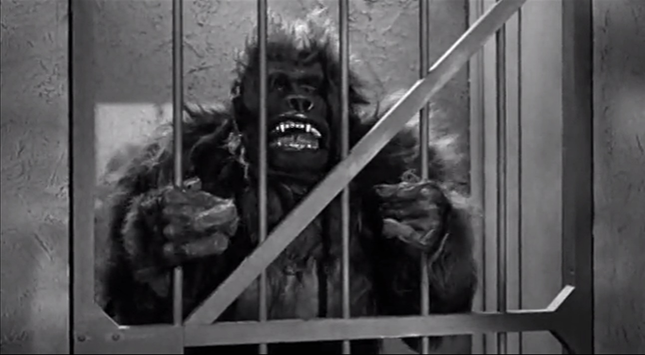 The Bloody Pit of Horror: Spooks! (1953)