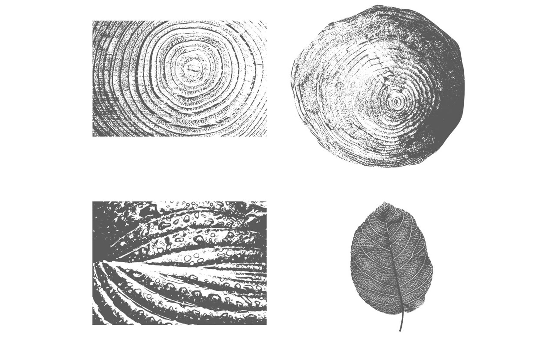 Free 14 Texture for Graphic Design