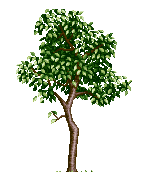 Sprite Fx: Sprite Plants