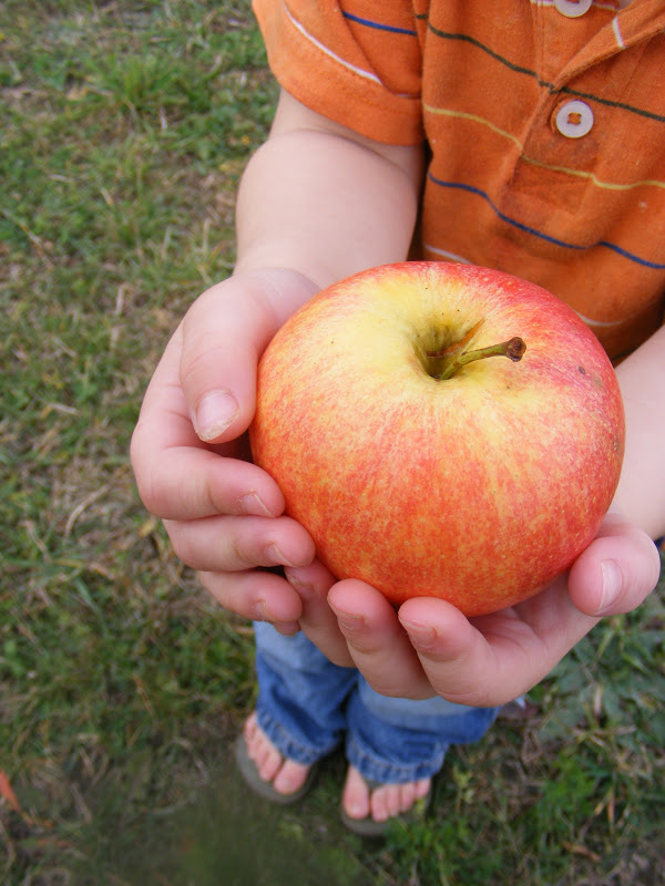 The Year of Less: 13 Reasons to Live with Less